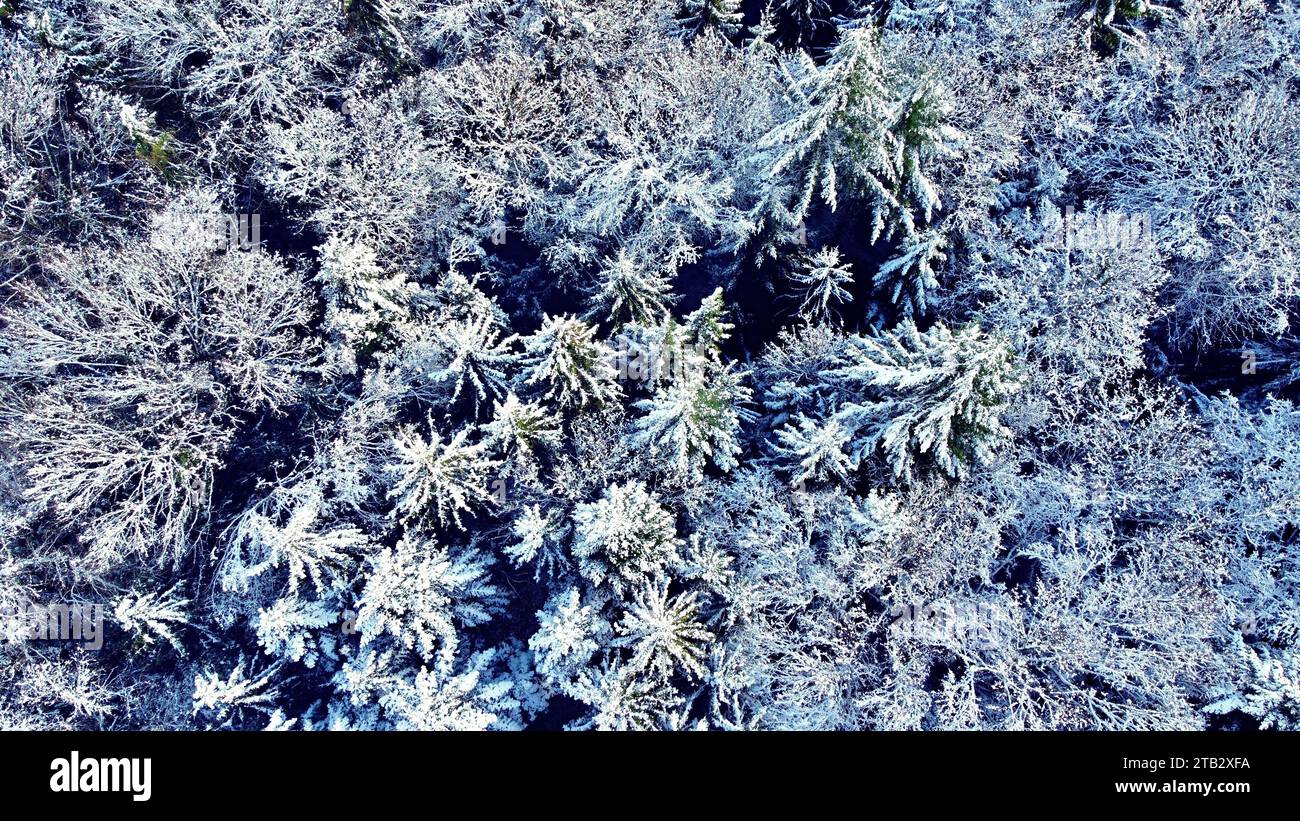 Winter Snowstorm Perigord National Forest Aerial Views Dordogne France ...