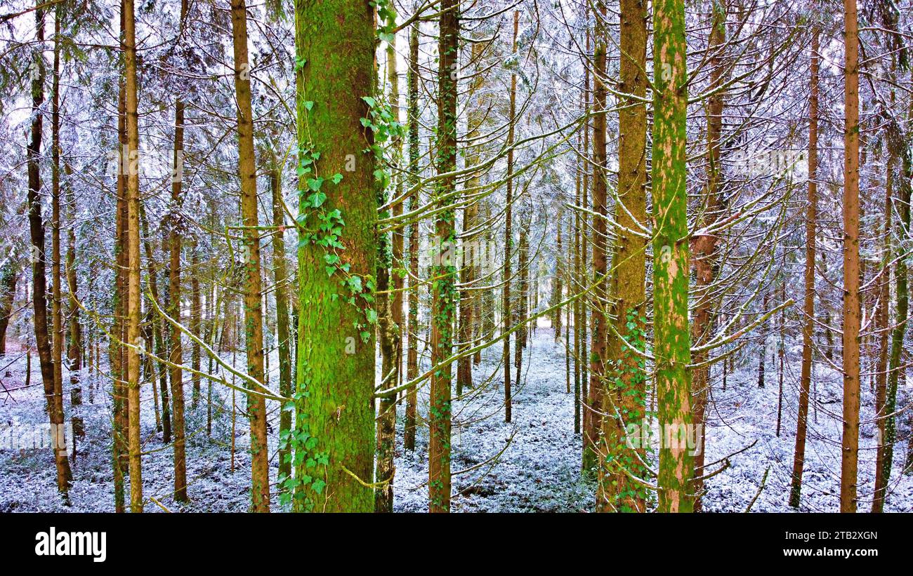 Winter Snowstorm Perigord National Forest Aerial Views Dordogne France ...