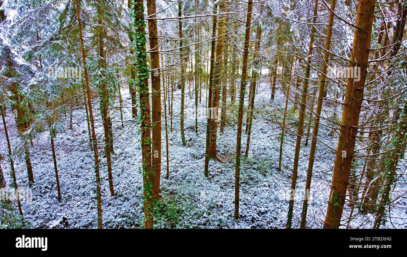 Winter Snowstorm Perigord National Forest Aerial Views Dordogne France ...