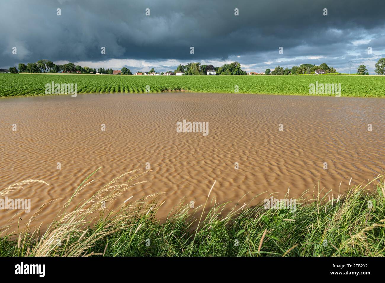 Flooded potato field due to severe storms. Cloudy and stormy sky Stock ...