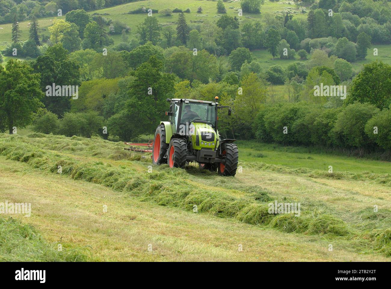 Labours hi-res stock photography and images - Alamy