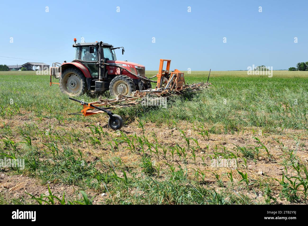 Presentation of a mechanical weeder or pruner for mechanical weeding in ...