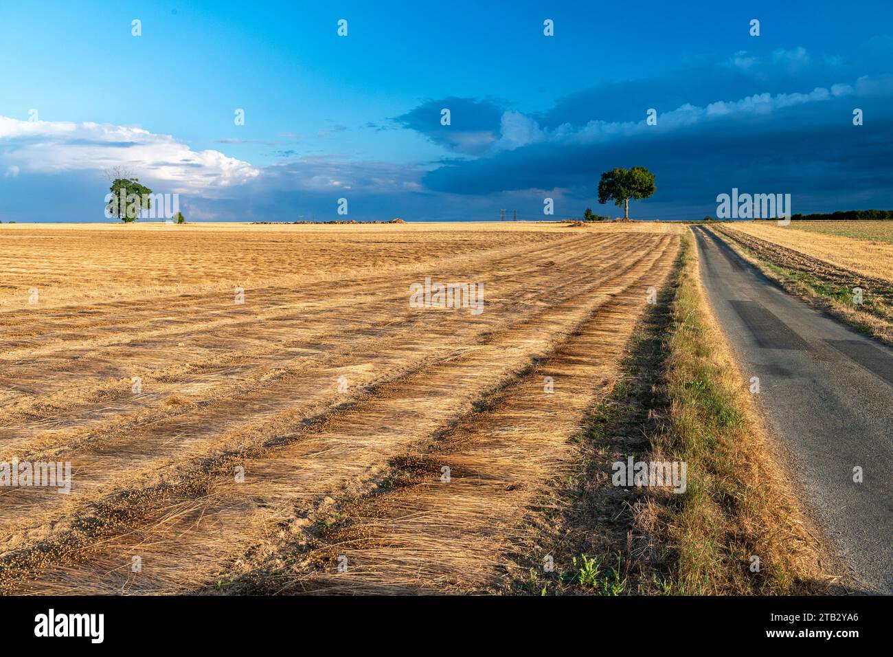 Hemp retting hi-res stock photography and images - Alamy