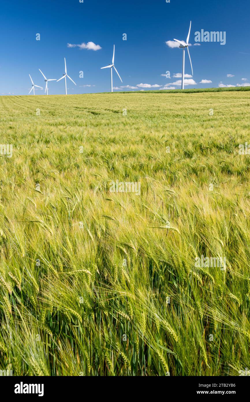 Visual pollution from wind turbines hi-res stock photography and images ...