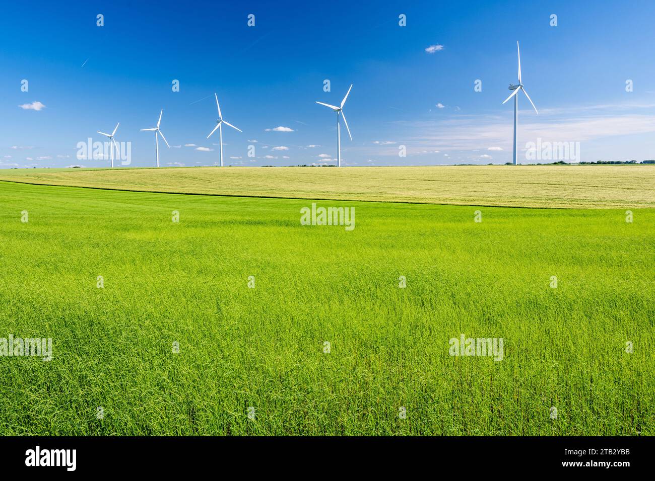 Wind farm: wind turbines in the middle of cultivated fields. Five wind ...