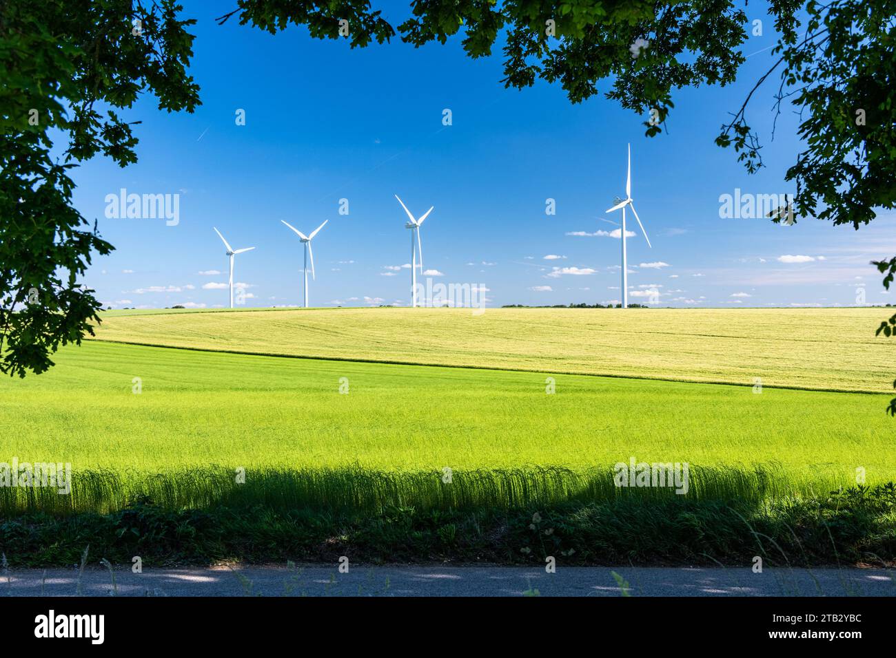 Wind farm: wind turbines in the middle of cultivated fields. Four wind ...