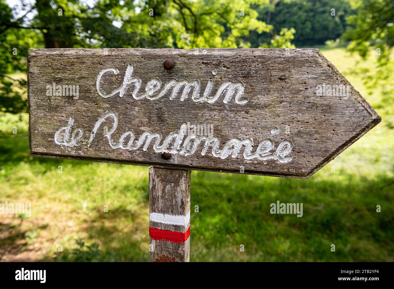 Wooden sign indicating a long-distance hiking trail blazed with ...