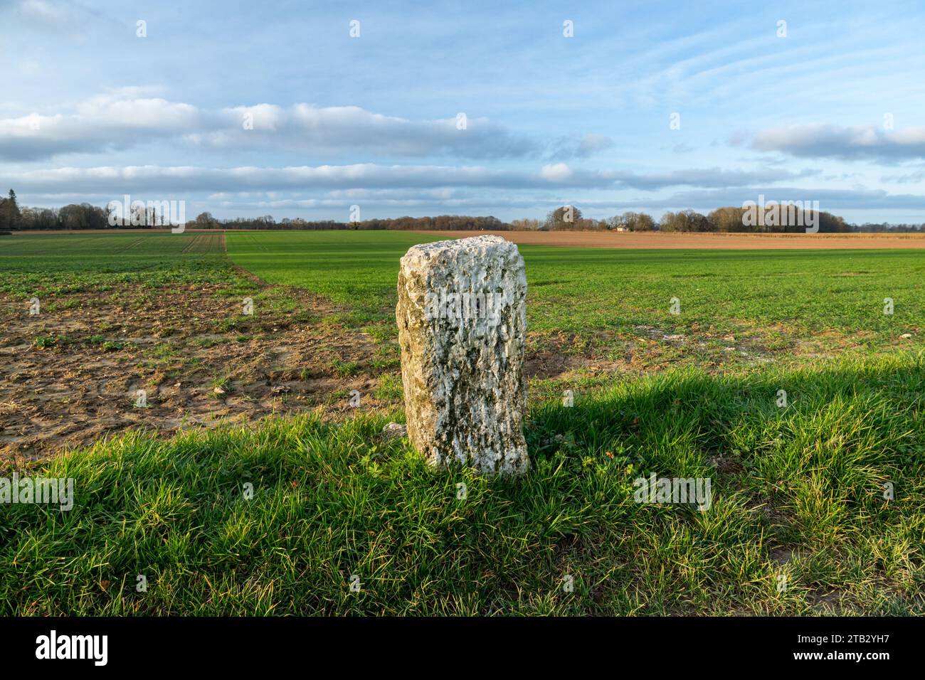 Boundaries of agricultural plots. Stone boundary marker between two ...
