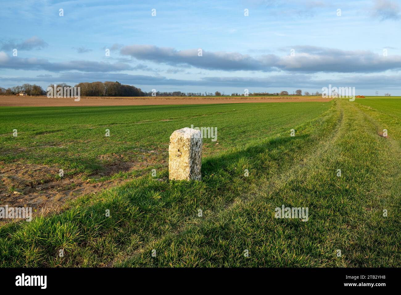 Boundaries of agricultural plots. Stone boundary marker between two ...