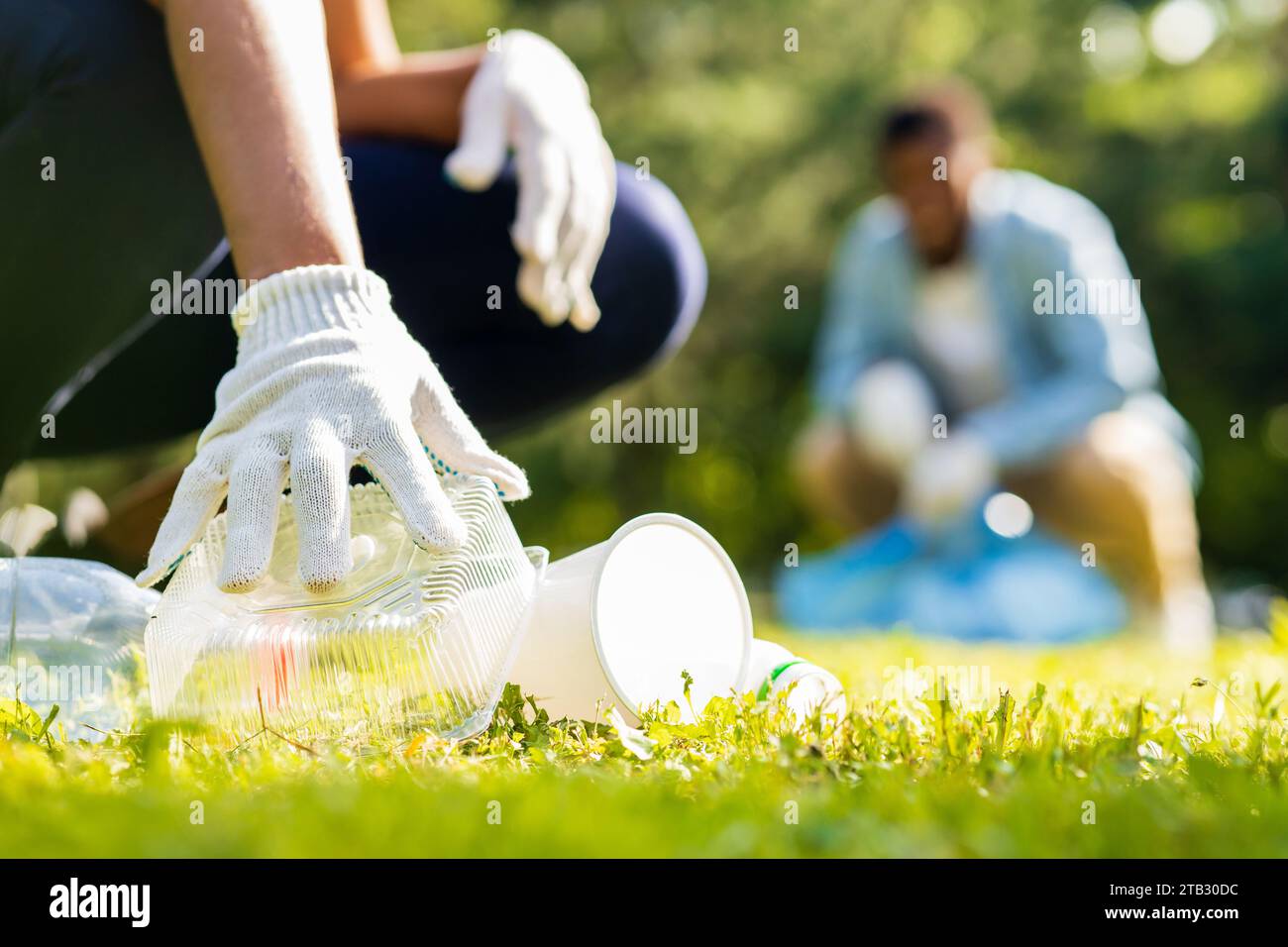 afro american volunteers collecting plastic trash at sunny day in ...
