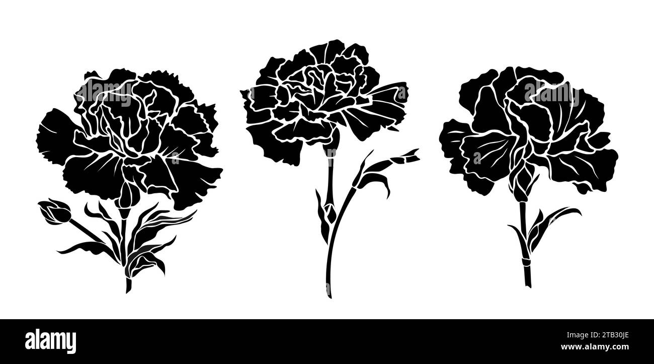 Set of Carnation flower silhouette vector isolated Stock Vector Image ...