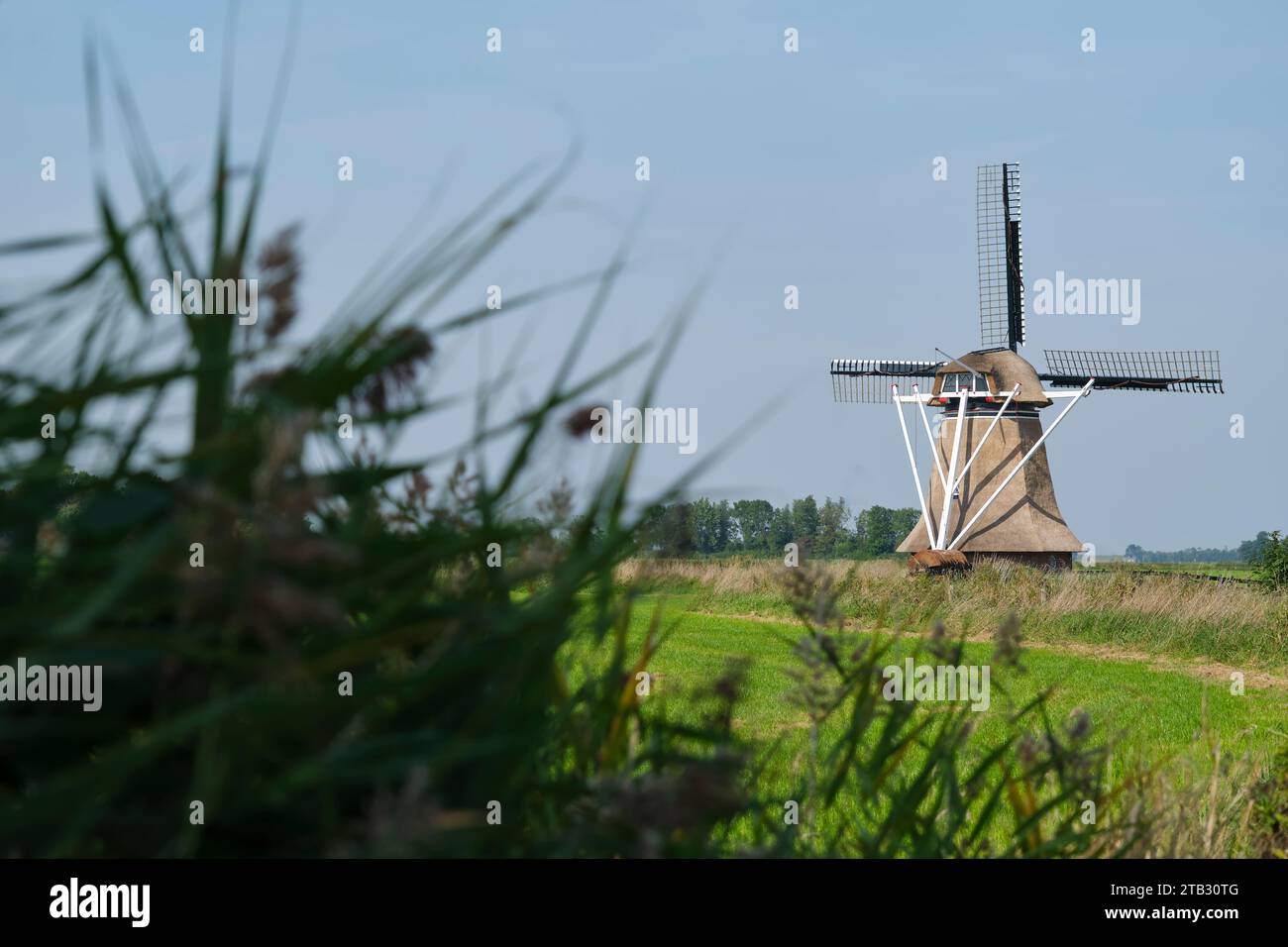 View on a traditional thatched dutch windmill in Hantum Friesland ...