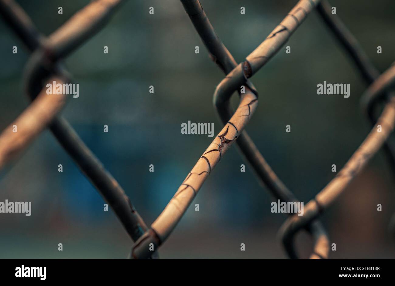 Close-up shot of rusted fence. Shallow focus Stock Photo - Alamy