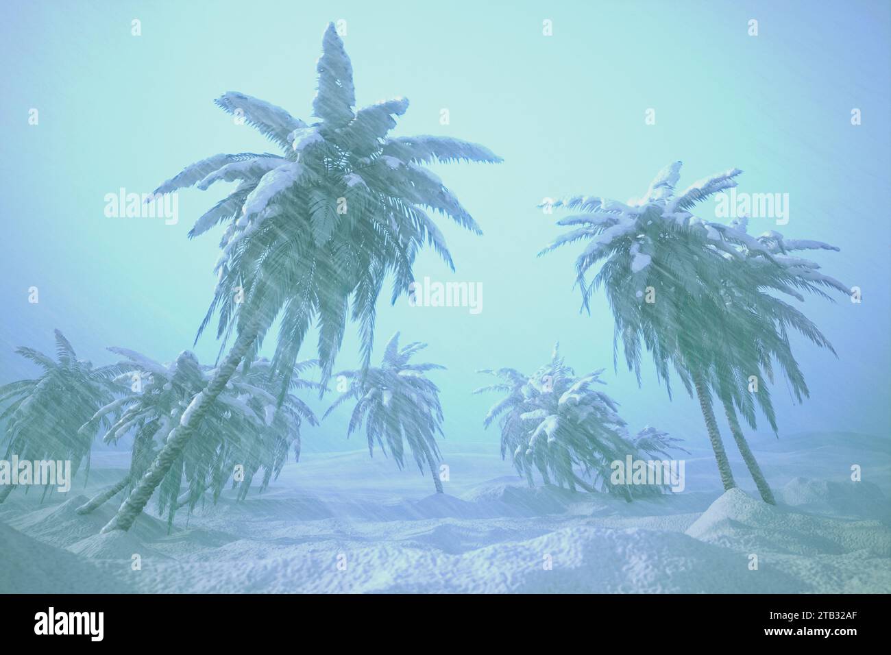 Surreal Snow-Covered Palm Trees In Mist-Enshrouded Wintry Scene Stock ...