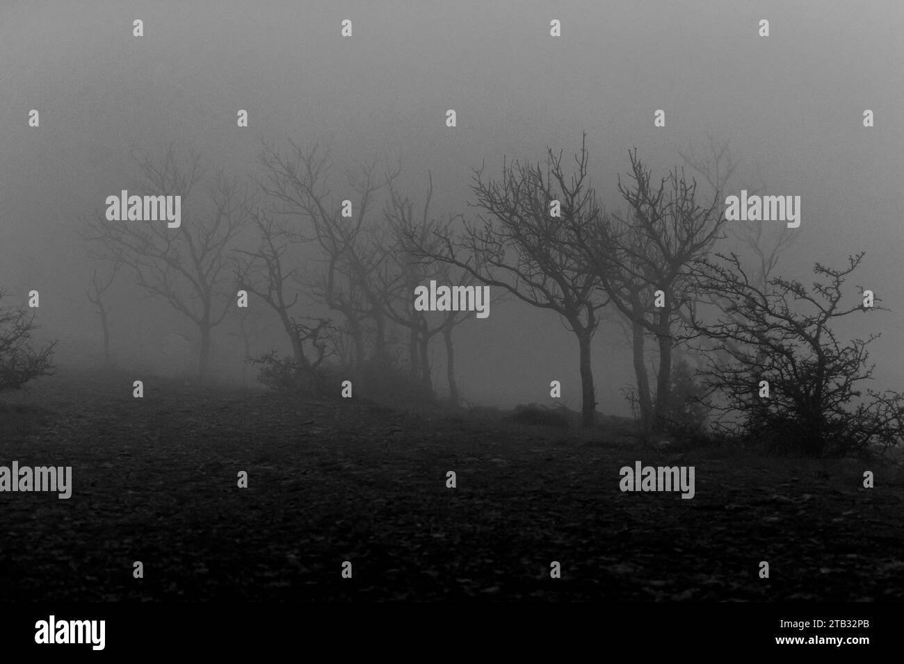 Drizzle fog Black and White Stock Photos & Images - Alamy