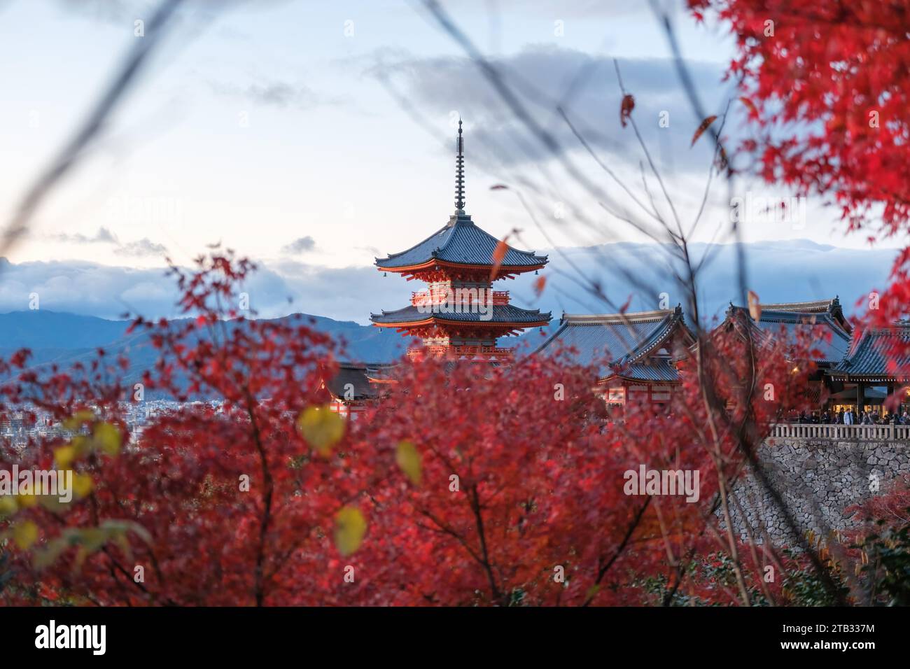 KYOTO, JAPAN, NOV 30, 2023, Autumn colors and Fall foliage at Kiyomizu ...