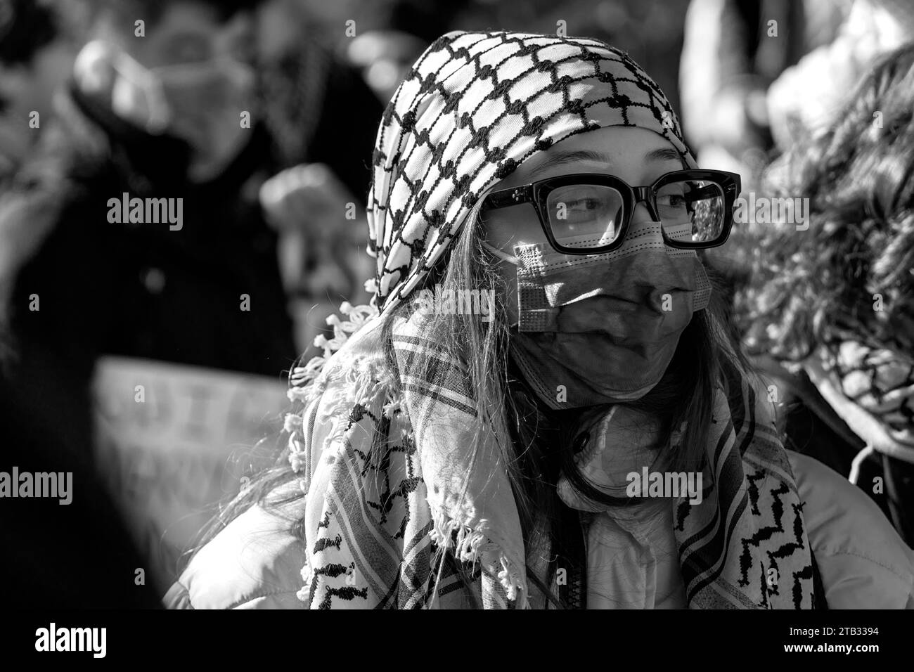 New York, NY, USA. 24th Nov, 2023. Activists rally for Arab freedom and ...