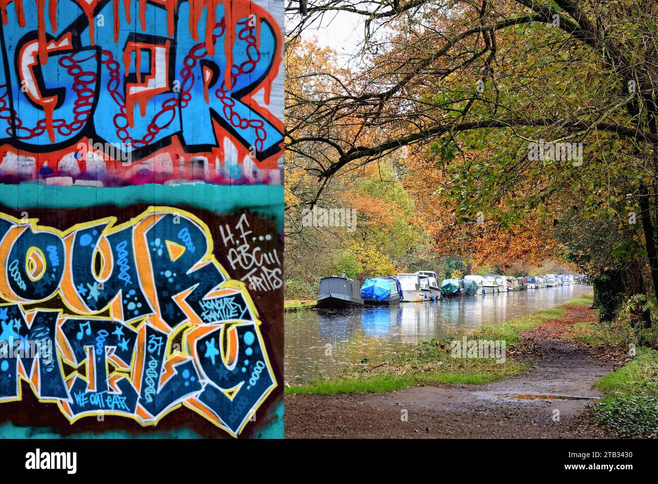 Autumnal colours on the River Wey Navigation canal with graffiti on a ...