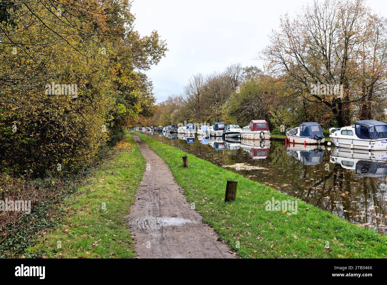 Autumnal colours on the River Wey Navigation canal at New Haw Surrey ...