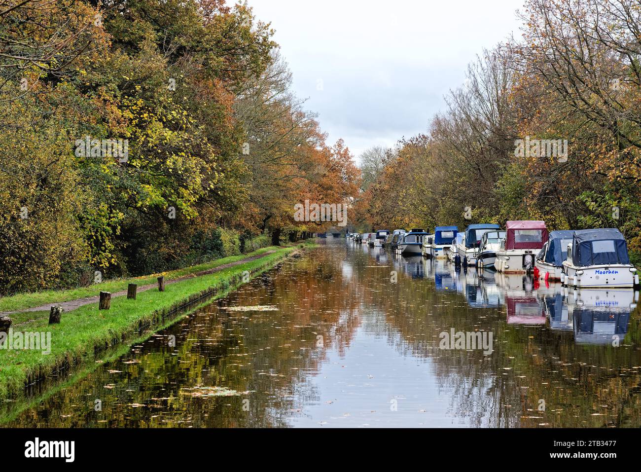 Autumnal colours on the River Wey Navigation canal at New Haw Surrey ...