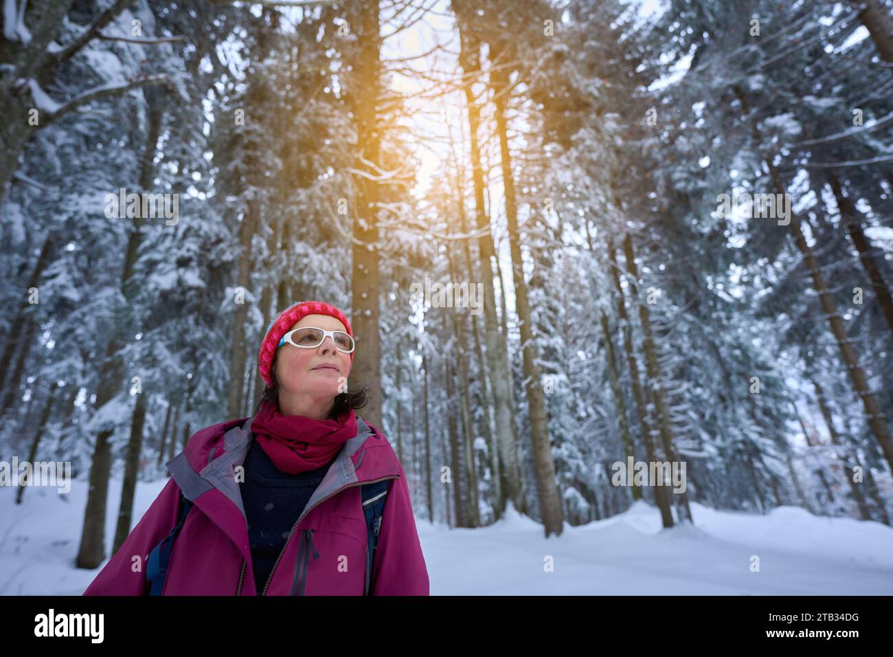 nice senior woman hiking in a winter landscape in falling snow in the ...