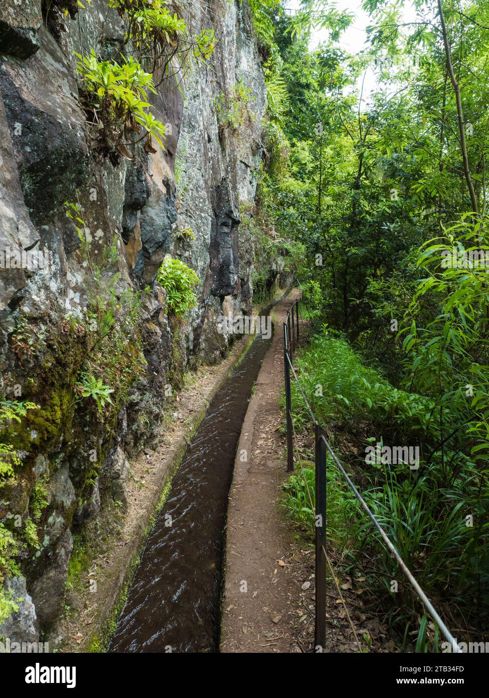 Levada do rei madeira hi-res stock photography and images - Alamy