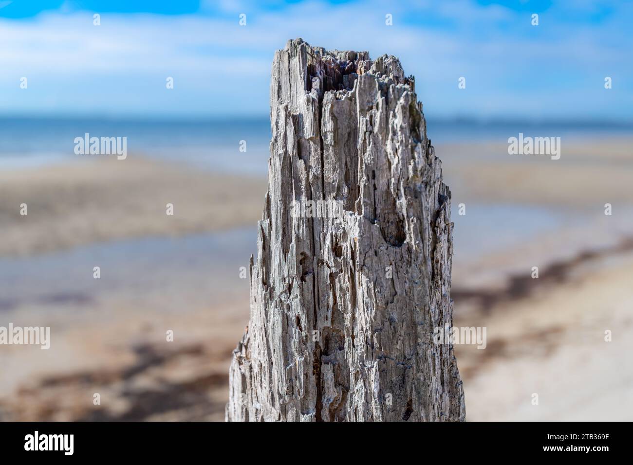 Shorelinescape hi-res stock photography and images - Alamy
