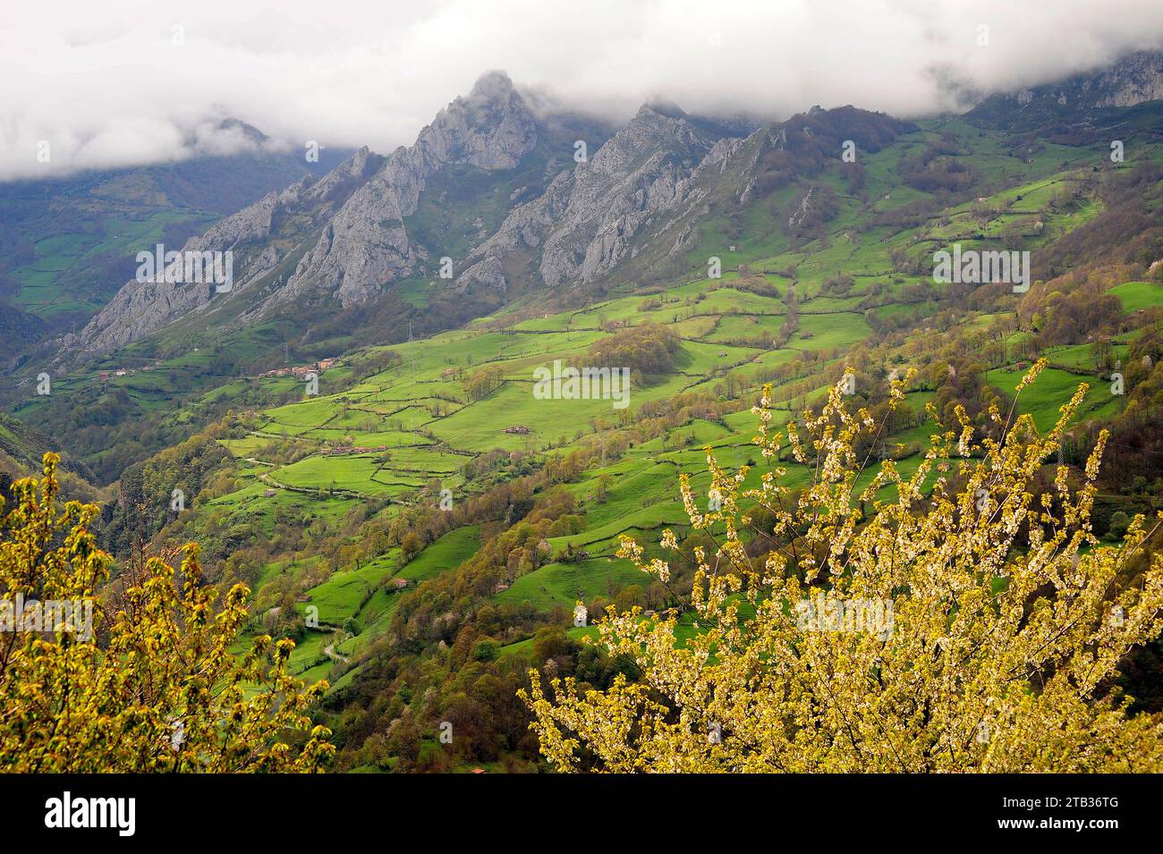 Las Ubiñas-La Mesa Natural Park and Biosphere Reserve. Cordillera ...