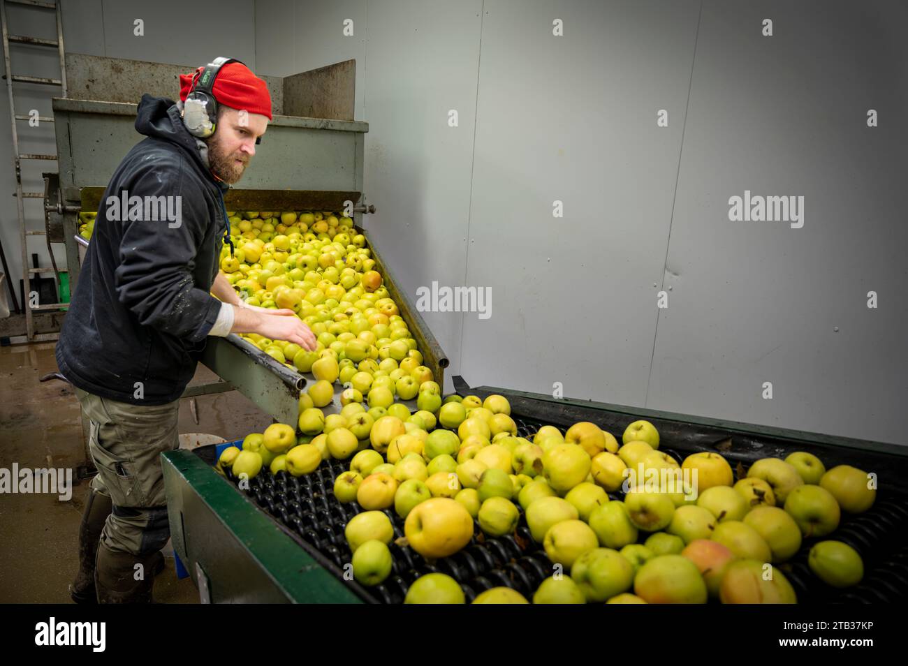 Fruit processing hi-res stock photography and images - Alamy