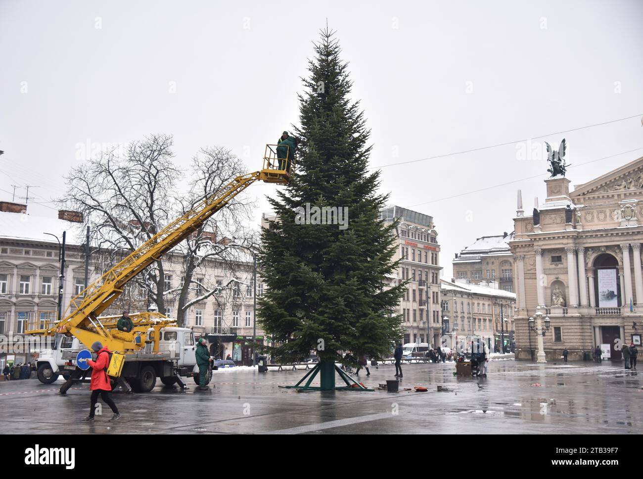 Lviv, Ukraine. 01st Dec, 2023. The New Year's tree is being installed ...