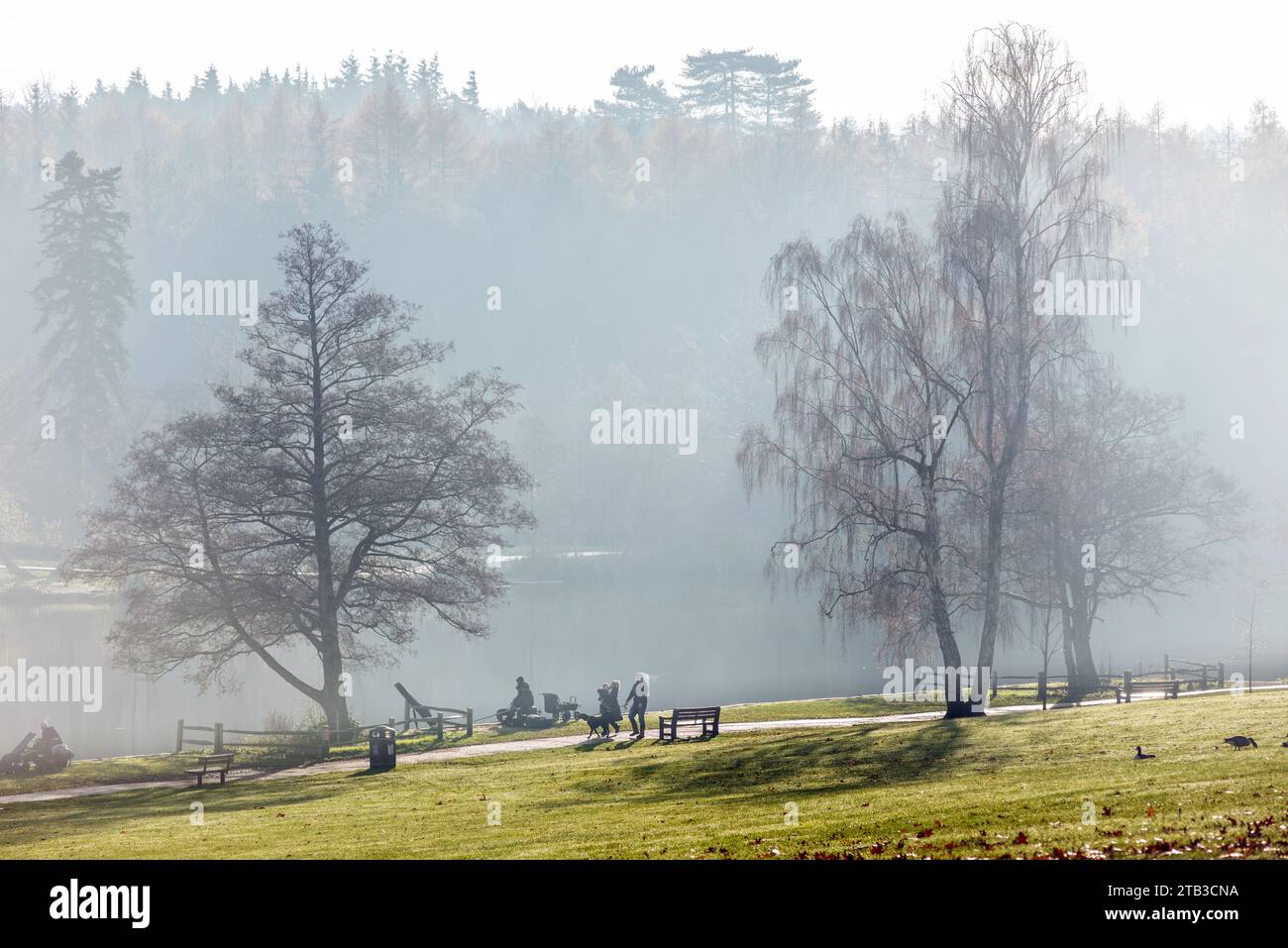 Tilgate park hi-res stock photography and images - Alamy