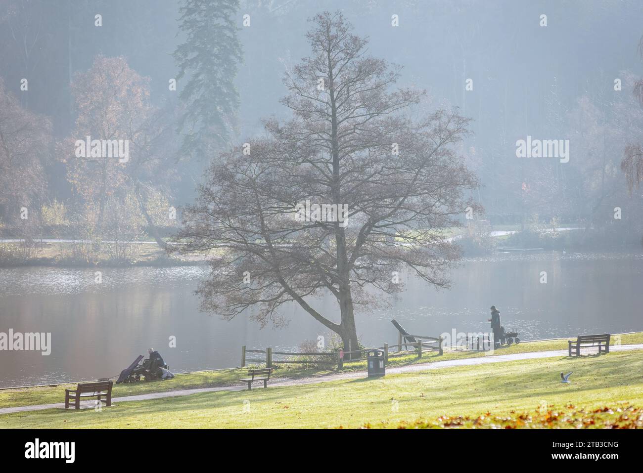 Crawley, November 29th 2023: Tilgate Lake in Tilgate Park Stock Photo ...