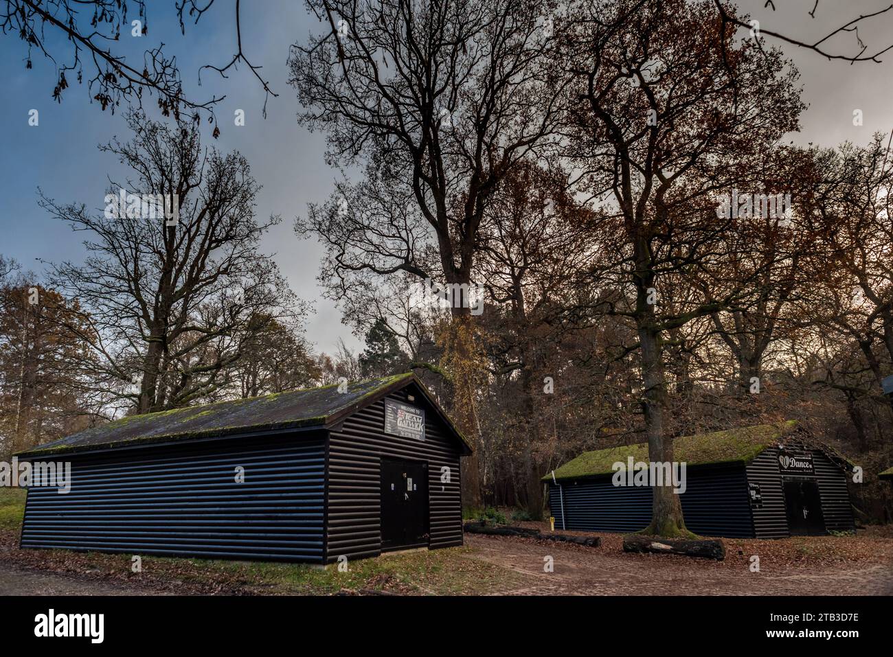 Tilgate hi-res stock photography and images - Alamy