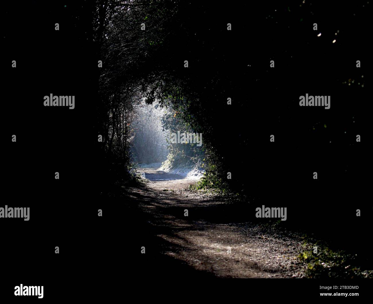 Sunlight at the end of the tunnel hi-res stock photography and images ...