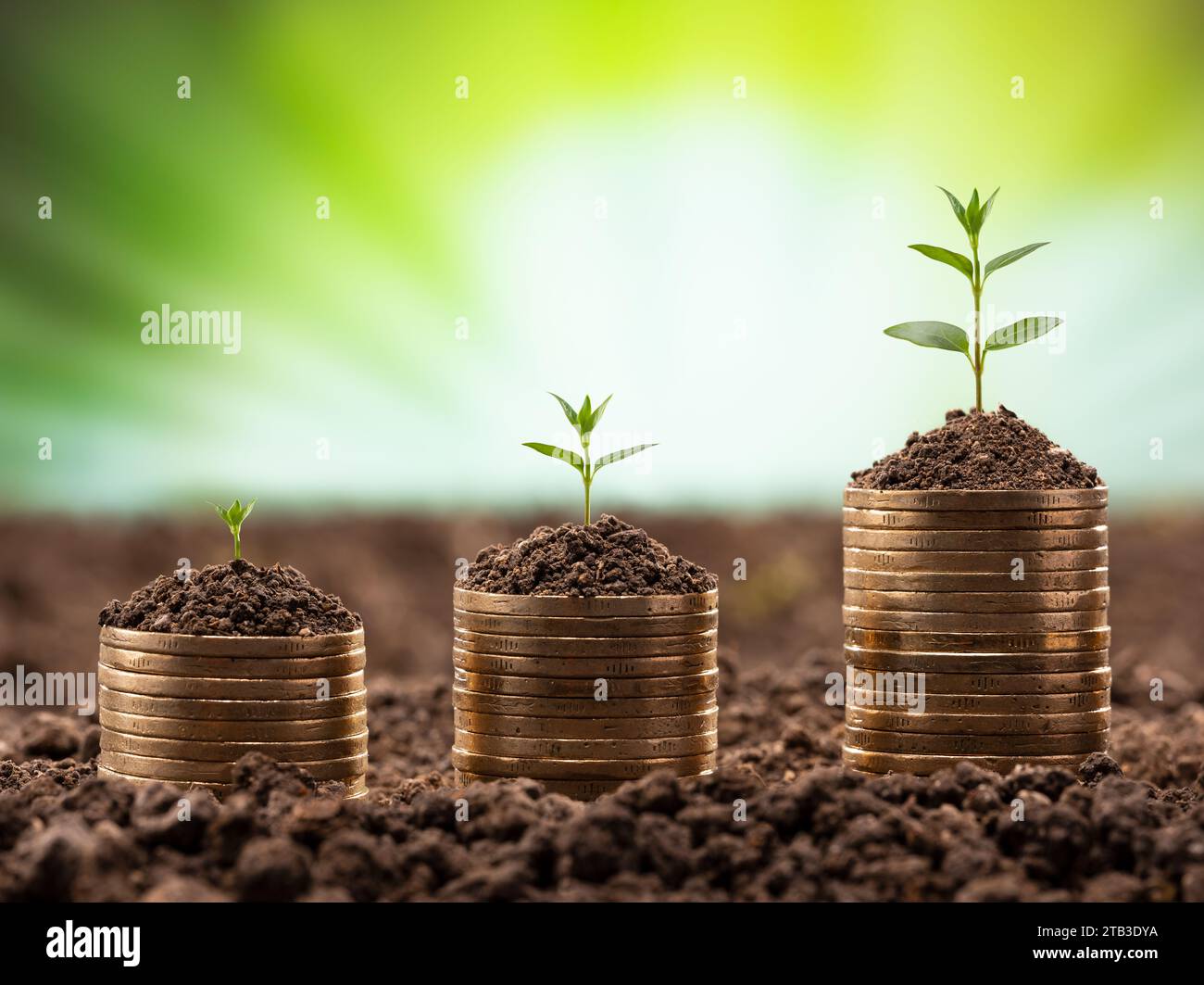 Concept growth hi-res stock photography and images - Alamy