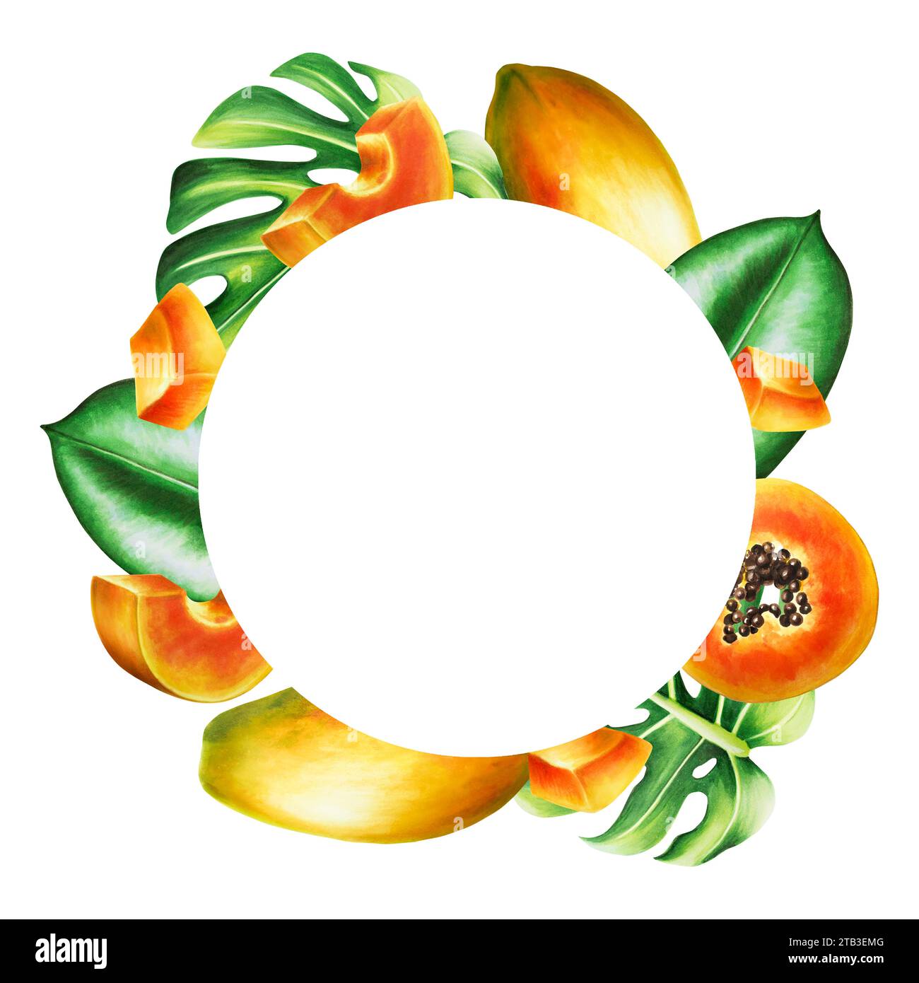 Marker frame, logo and templates with sweet ripe slice of papaya with ...