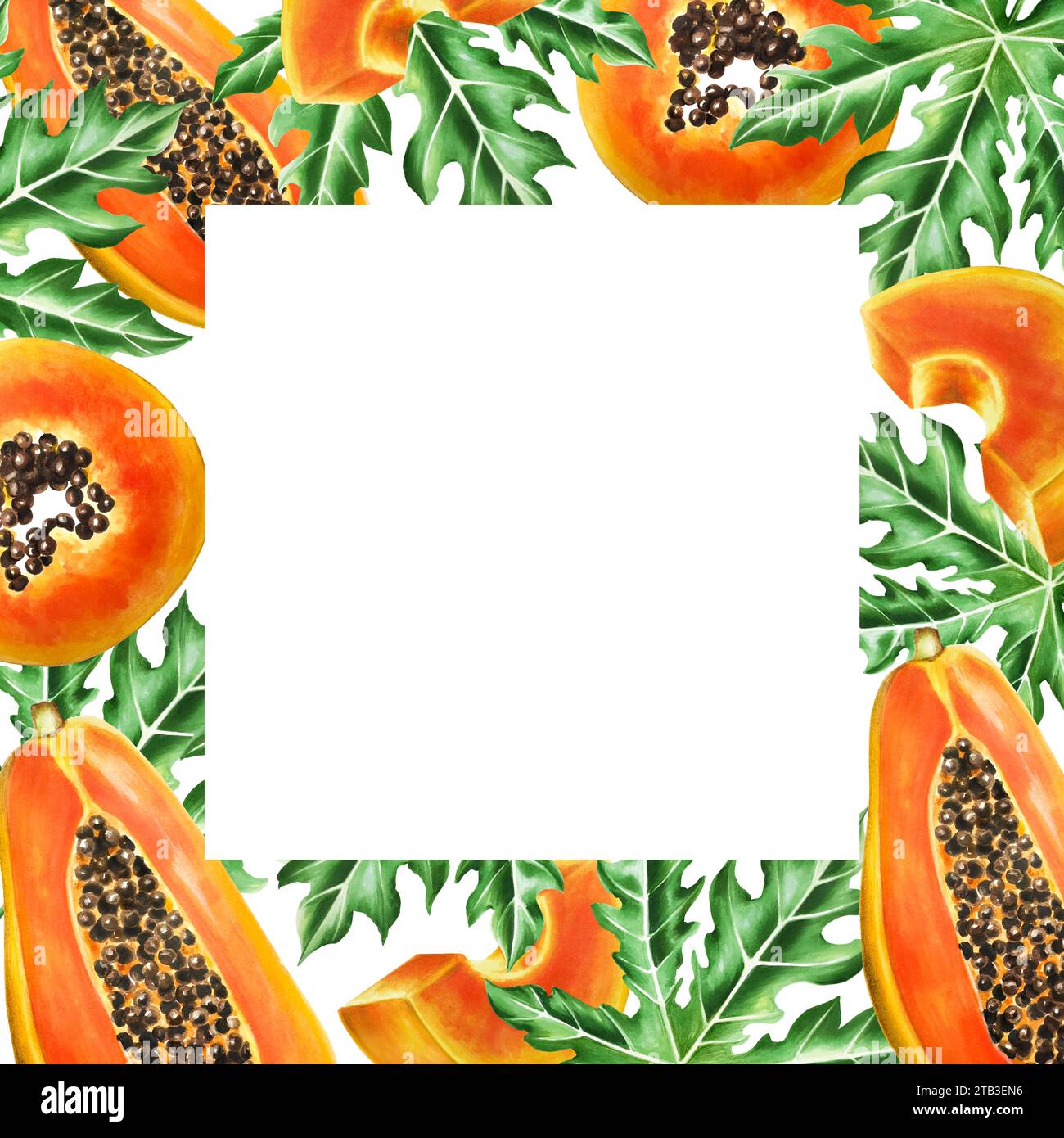 Marker frame and templates with sweet ripe slice of papaya with grains ...