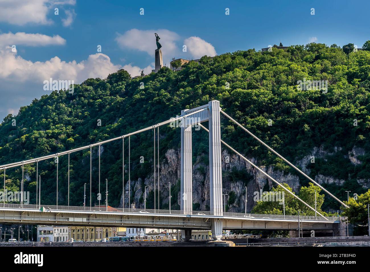 The Elizabeth Bridge reaches the western shore of the River Danube ...