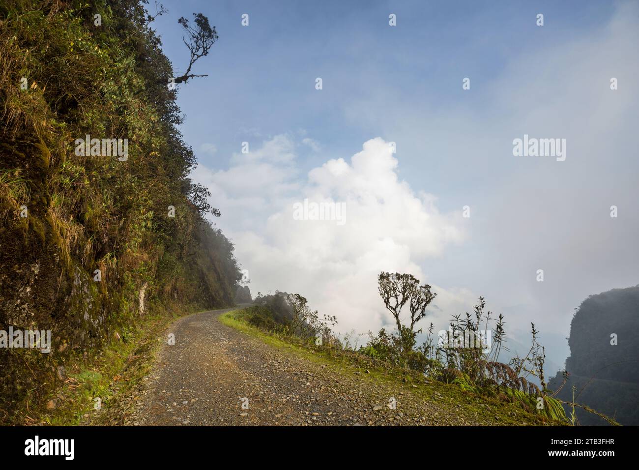 Famous death road, the "Camino de la Muerte", in the Bolivian Andes ...