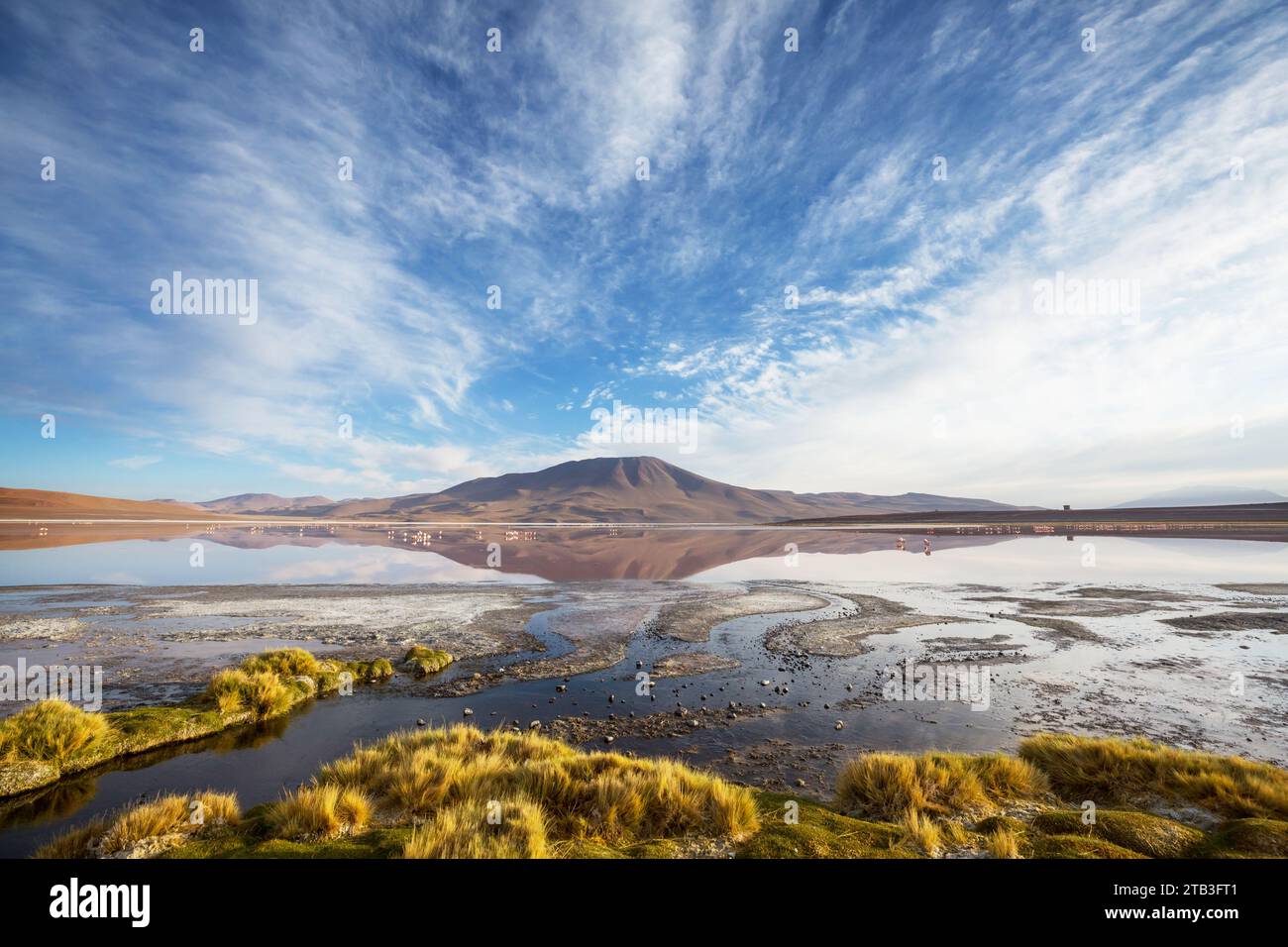 Altiplano Lake in Andes mountains, Bolivia, South America Stock Photo ...