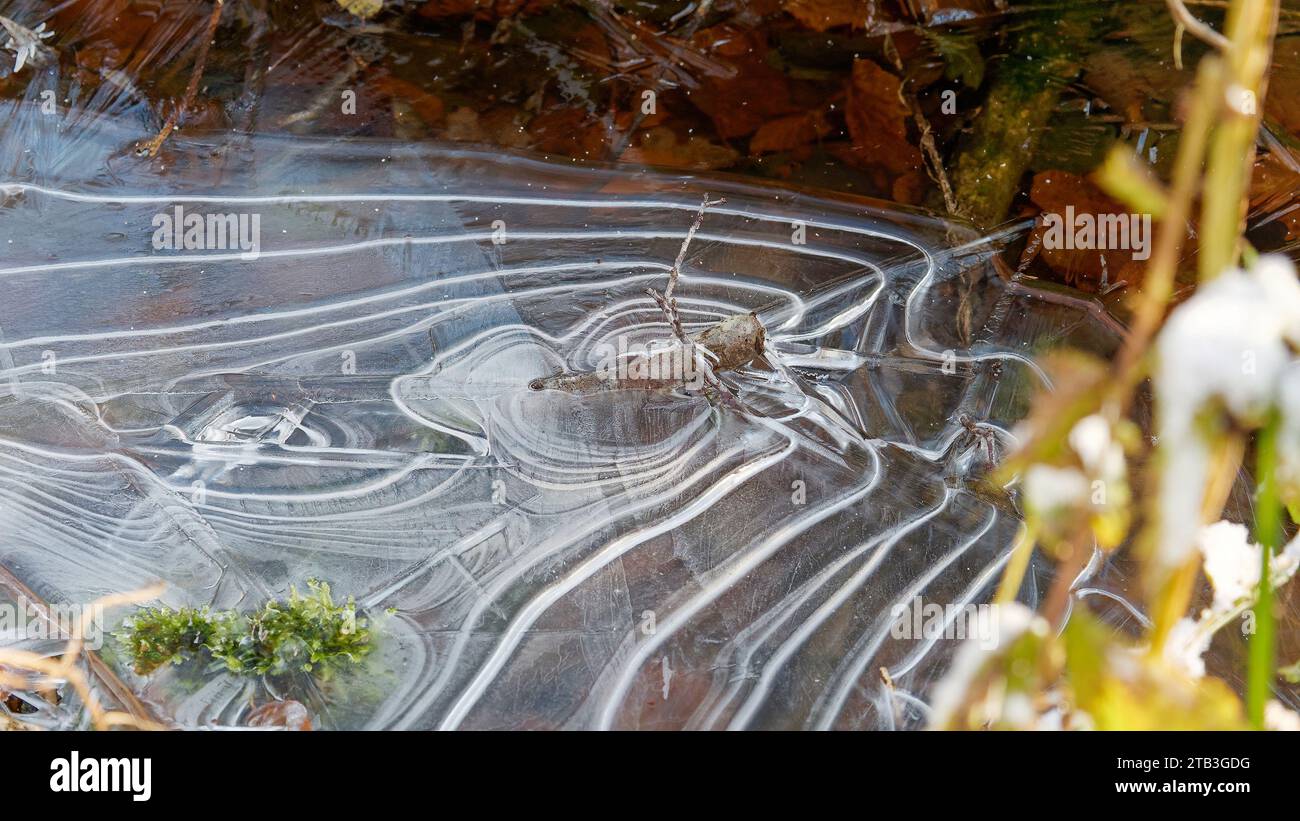 Abstract shapes created by nature Stock Photo - Alamy