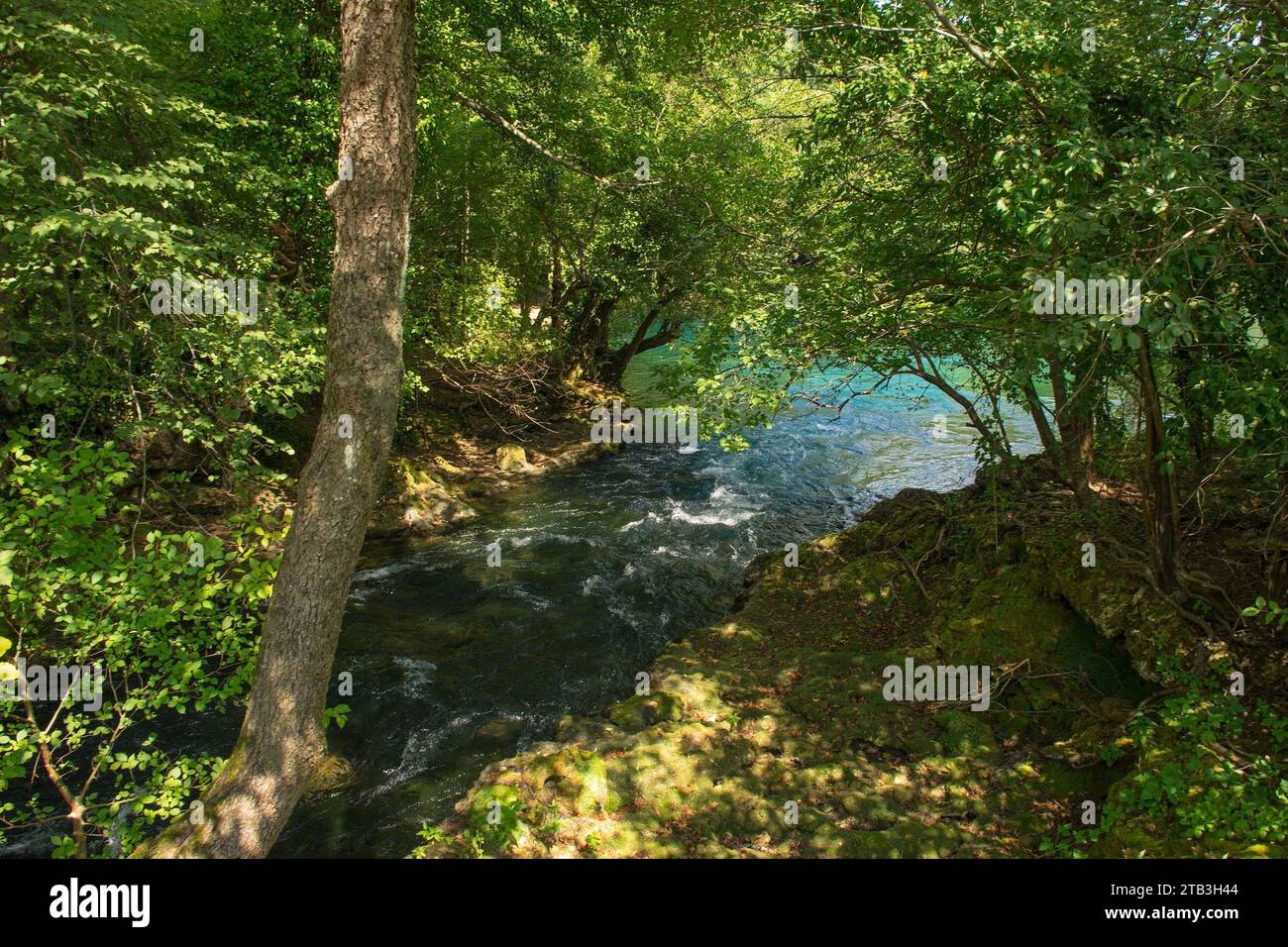 The River Una as it flows through Japod Islands, or Japodski Otoci ...
