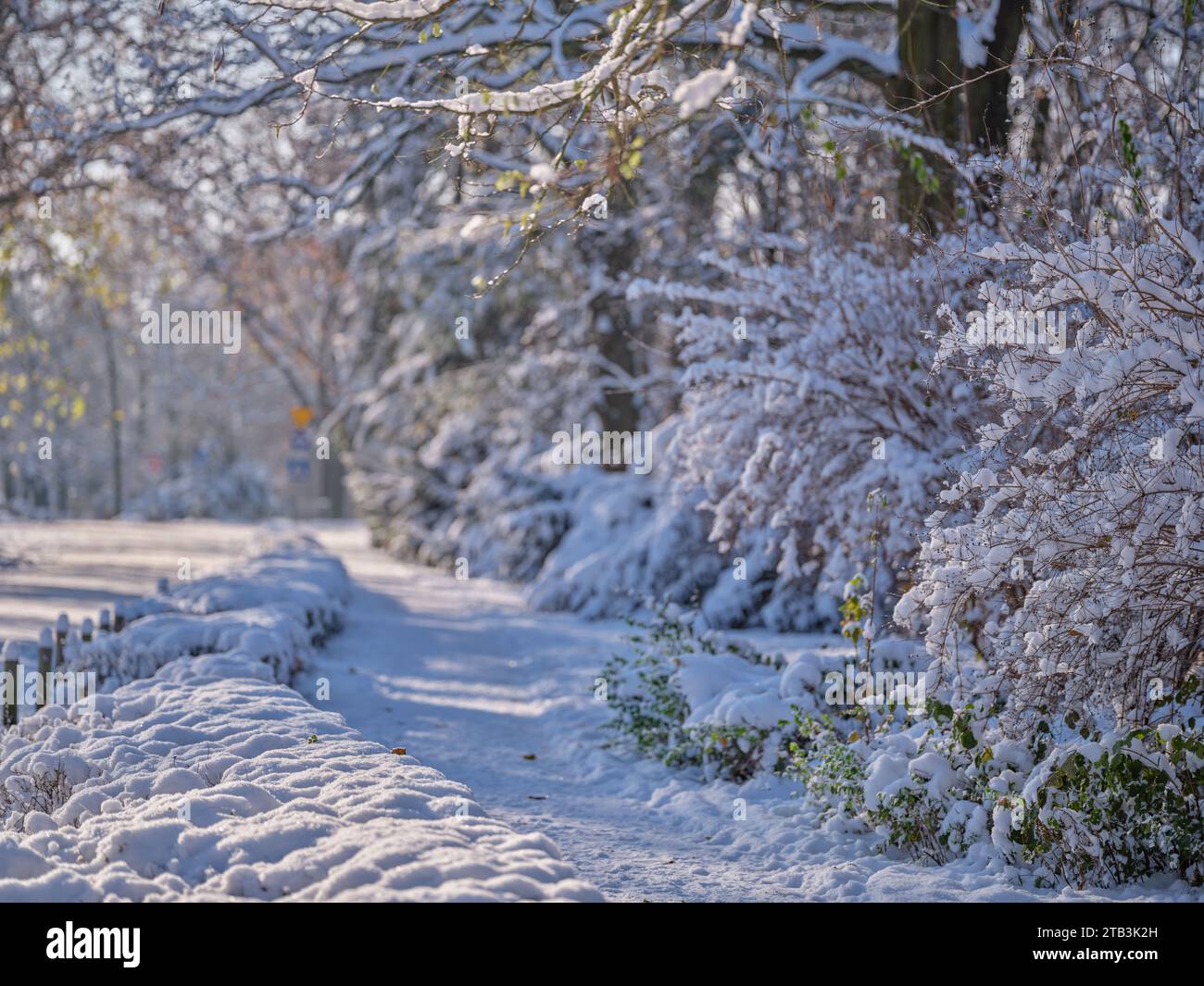 Winter landscape after the first snowfall Stock Photo - Alamy
