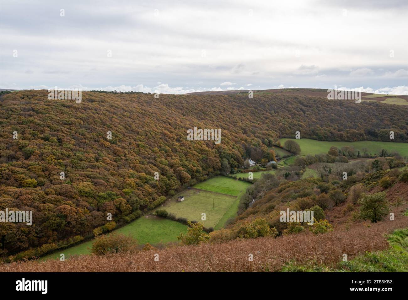 Landscape photo of the autumn colours in the Doone valley in Exmoor ...