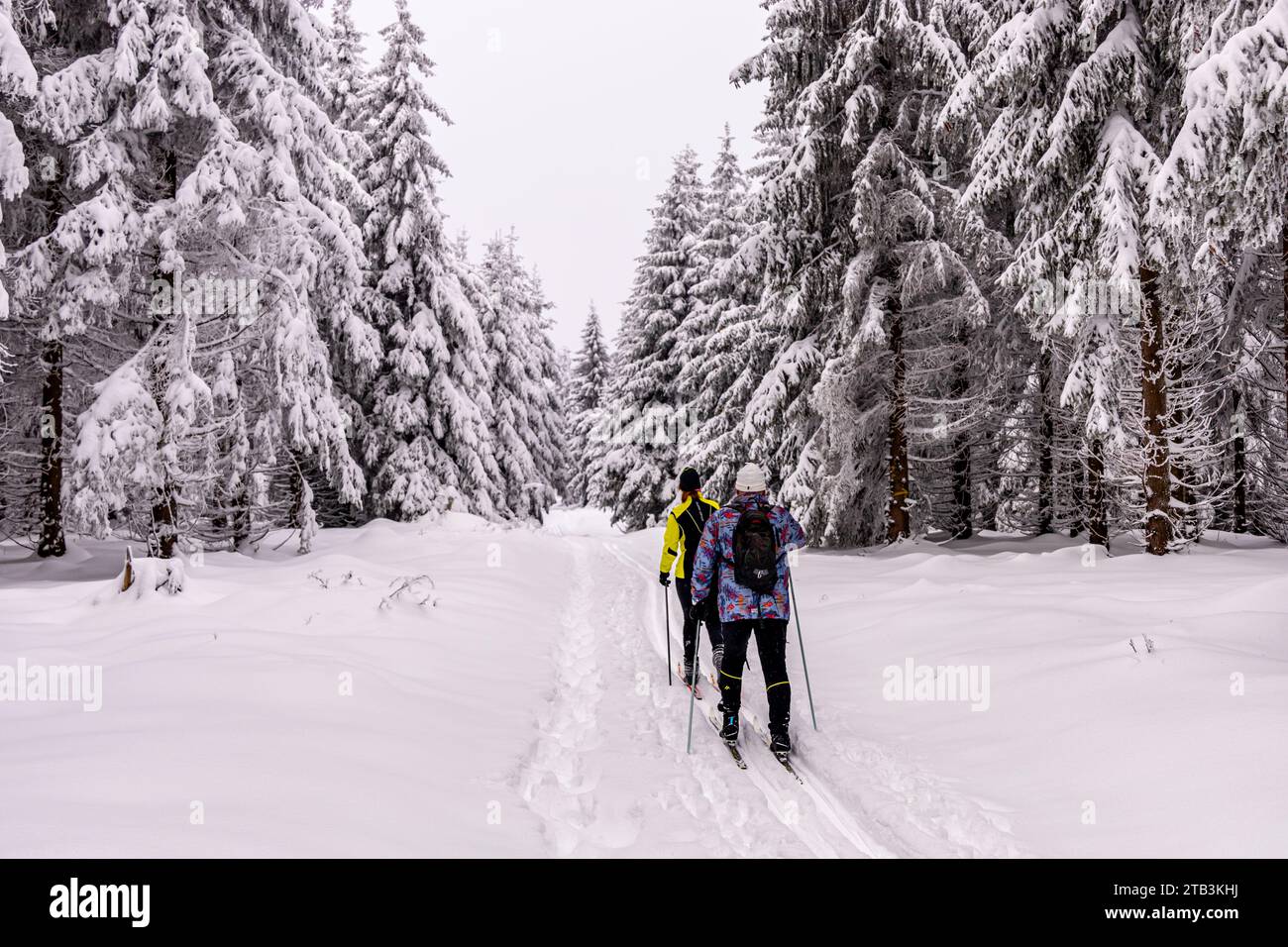 Short winter hike through deep snow in the Thuringian Forest near ...