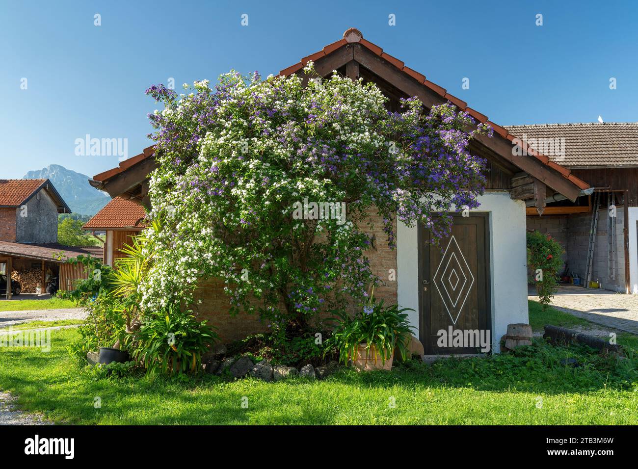 Blumen foto historisch hi-res stock photography and images - Alamy