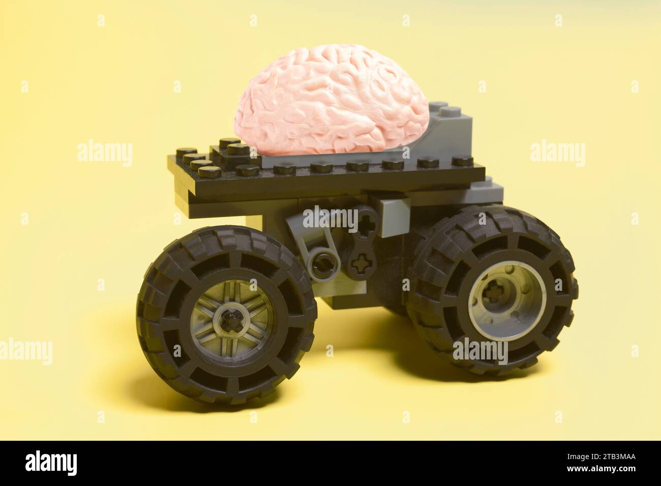 toy car with human brain anatomical model on a yellow background Stock ...