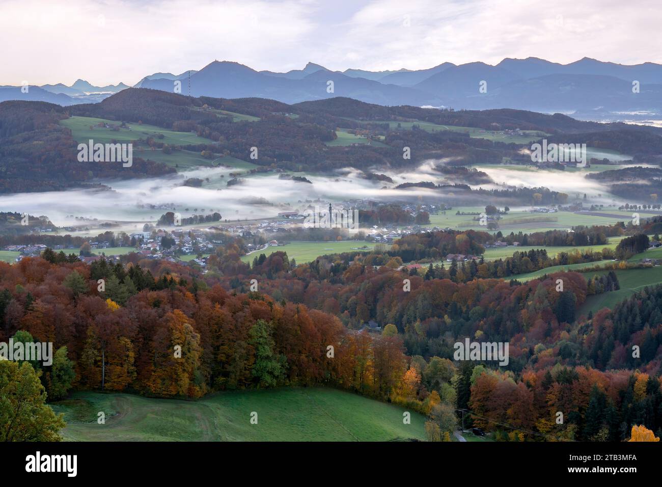 Baum hinter der sonne hi-res stock photography and images - Alamy