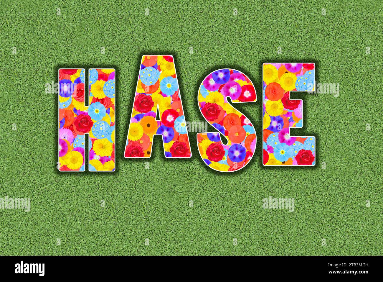 german pet-name, nickname, Kosenamen Hase for couples, Graphic Design ...