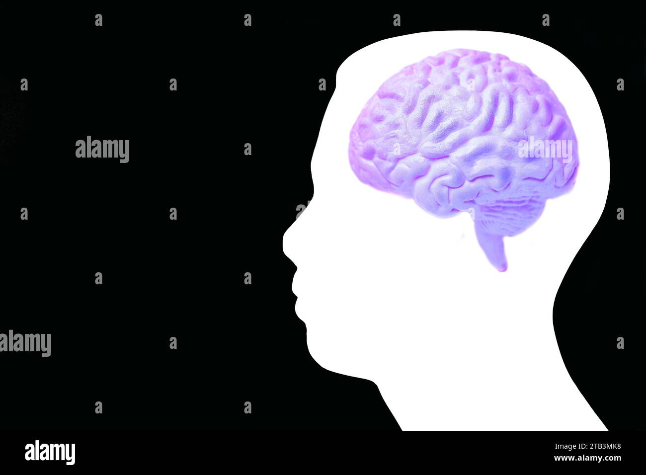 Medical acupuncture model of human with brain anatomical model Stock ...